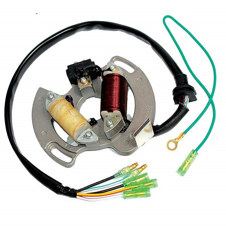 Blaster Stator YFS200 200 Yamaha – Regulatorrectifier.com